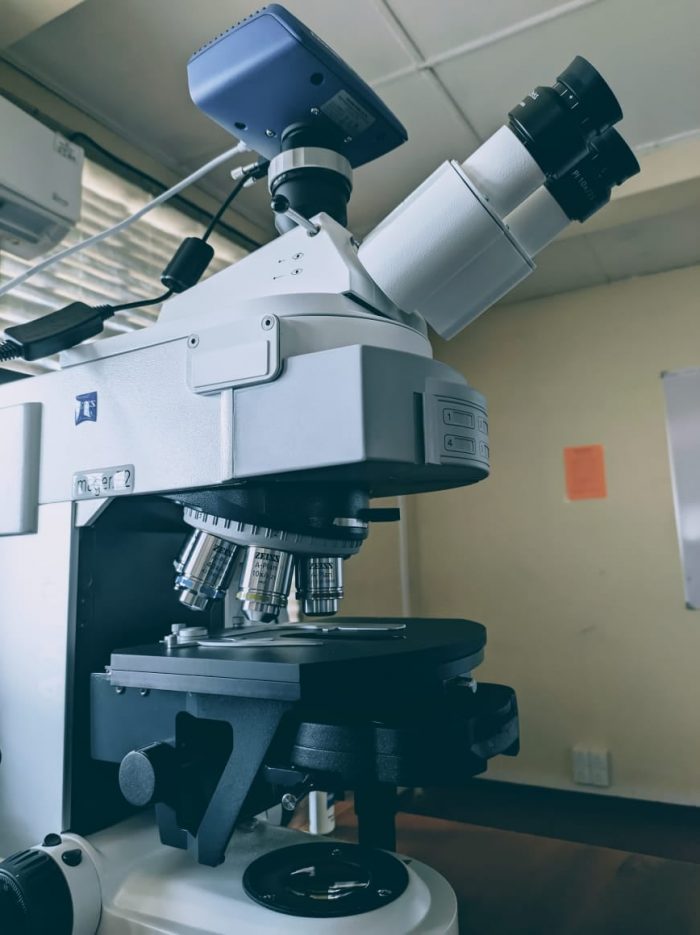 The Department of Electrical and Electronic Engineering of University ...